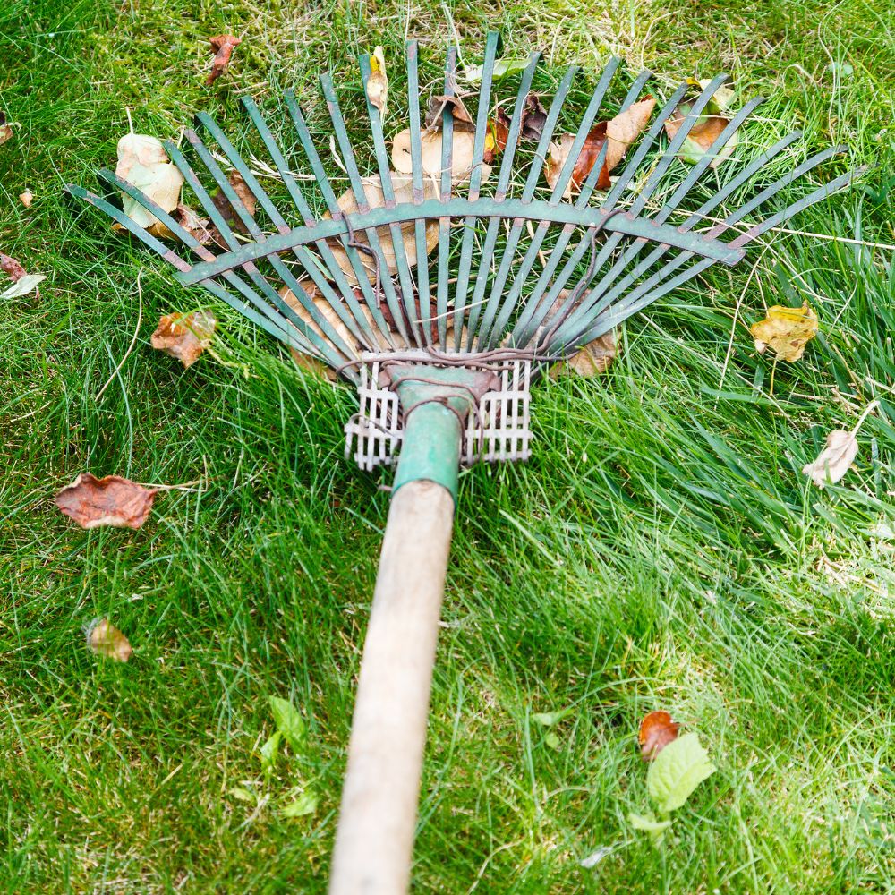 Using Golf Divot Tools to Create Unique Garden Designs – YingDuJia