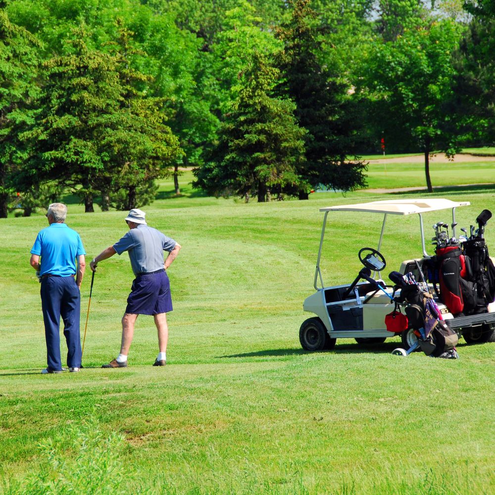 Best Golf Tees For Seniors: Top Choices For Comfort – YingDuJia